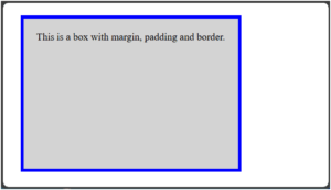 CSS Box Model (with Example) - Scientech Easy