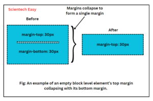 Margin Collapse in CSS - Scientech Easy