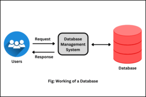 What is Database | Definition, Features, Working - Scientech Easy